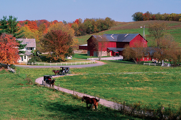 See The Farm | What to see at Yoder's Amish Home